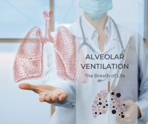 Alveolar Ventilation: The Breath of Life