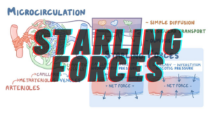 Starling Forces: The Key to Understanding Fluid Balance