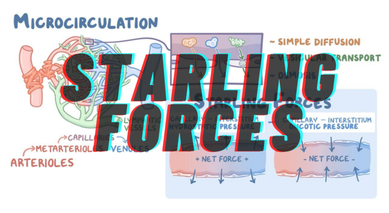 Starling Forces: The Key to Understanding Fluid Balance