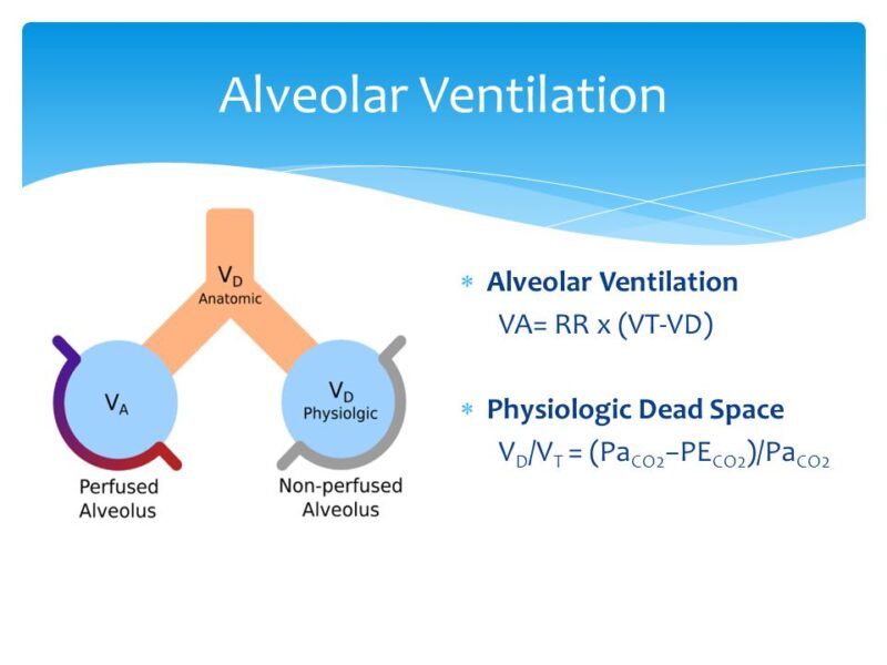 Alveolar Ventilation Archives - Pathway Medicine